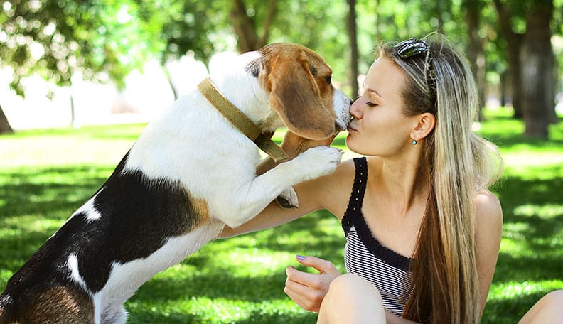 Can A Boyfriend Takes My Dog