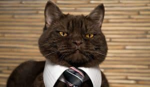 Dry Sense of Humor: What It Is & 20 Signs You're Deadpan Dry and Funny